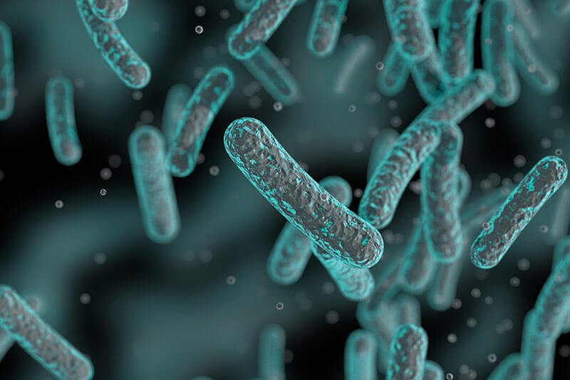 Common Biohazards in Residential and Commercial Settings: A Guide to ...