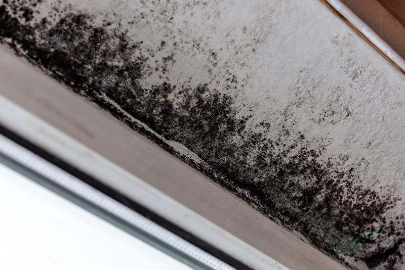 How To Identify Biohazardous Situations In Your Home Or Business ...