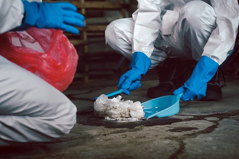 How To Identify Biohazardous Situations In Your Home Or Business ...